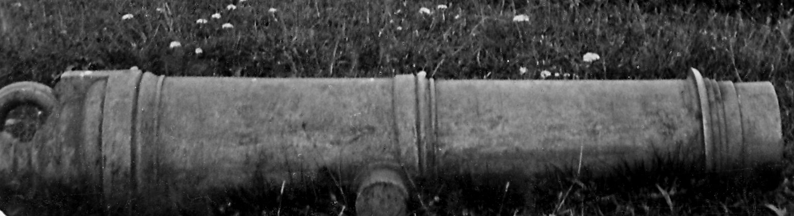 Guns - Slate Islands Heritage Trust